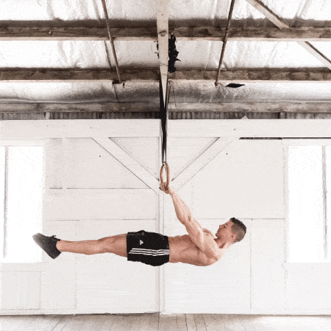 FitnessFAQs | Master Calisthenics