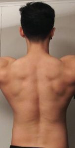 Body By Rings - FitnessFAQs