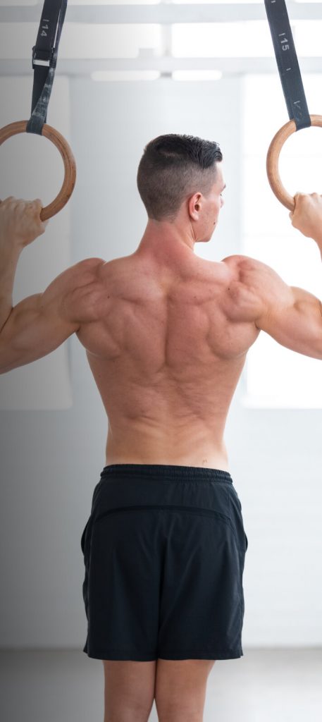 Body By Rings - FitnessFAQs