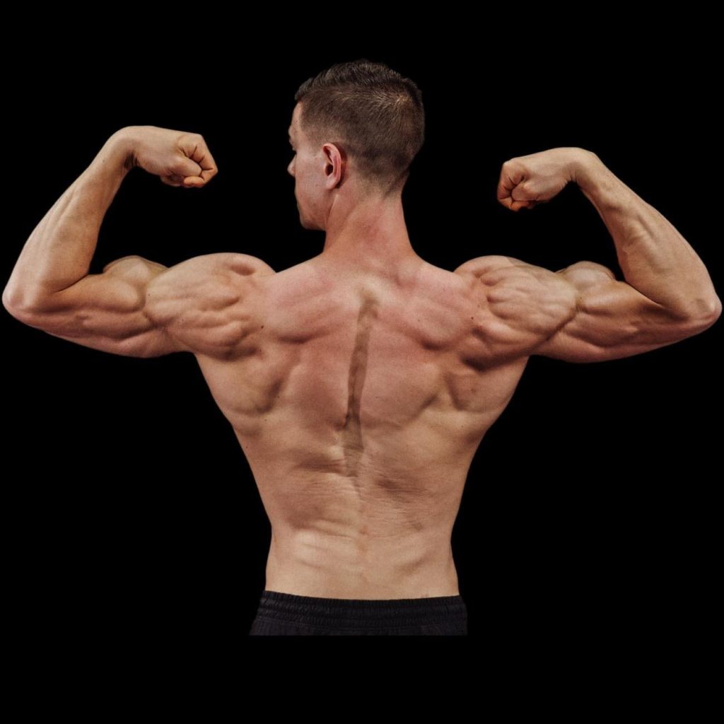 FitnessFAQs | Master Calisthenics