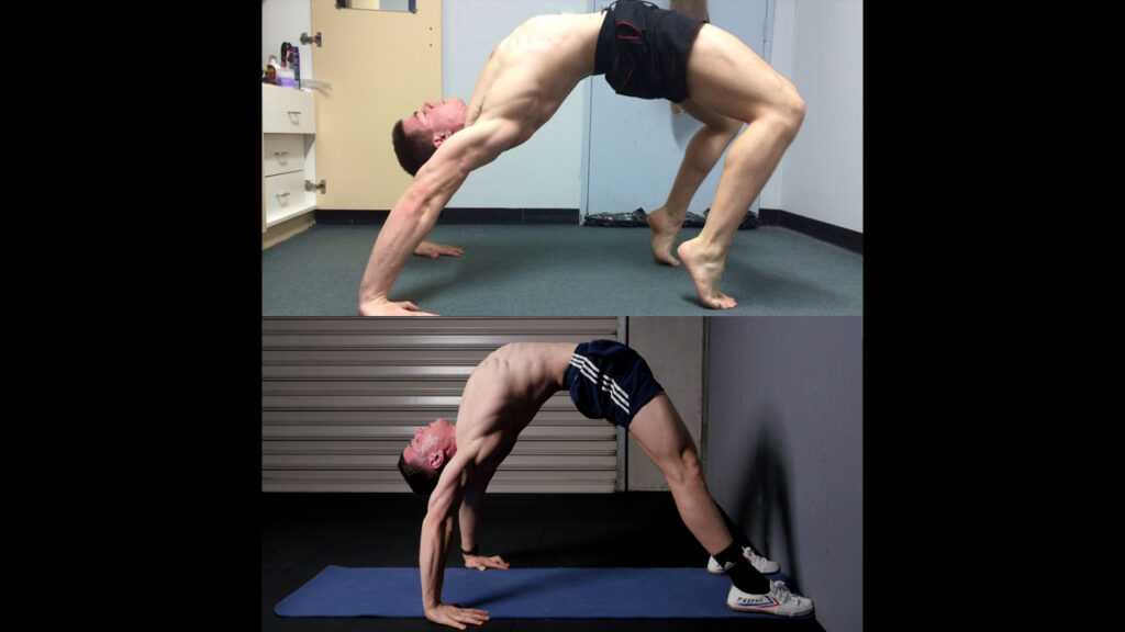 Back Bridge Pro - FitnessFAQs