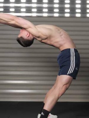 Back Bridge Pro - FitnessFAQs